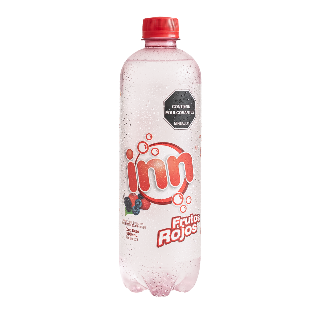 Ginger 400 ml – Bebidas INN