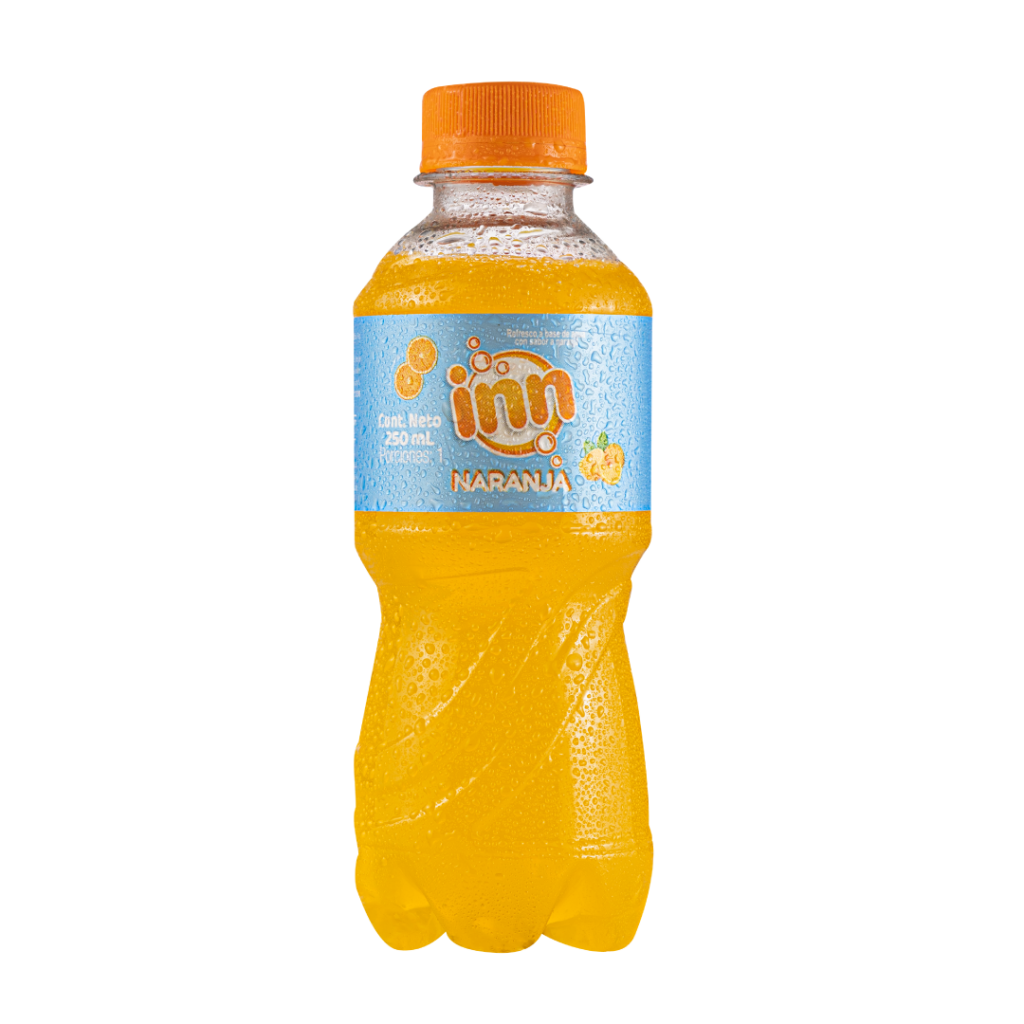 Ginger 400 ml – Bebidas INN